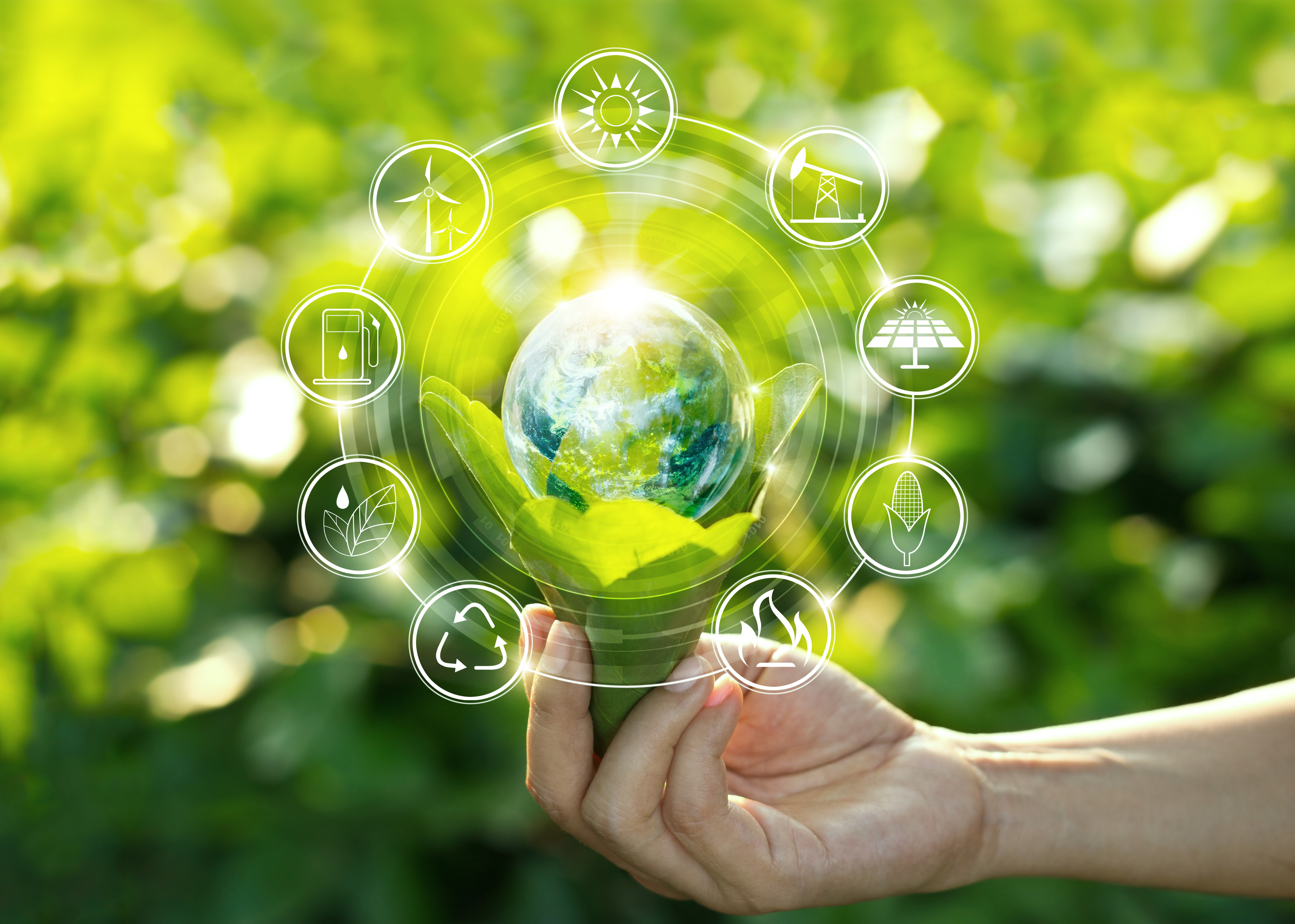 Circular Economy Action Plan Apex Brasil